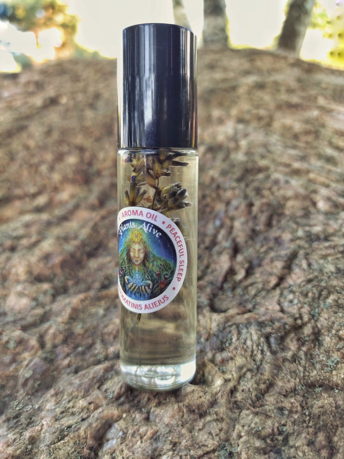 Aromatinis aliejus „Ramus miegas“ – PlantsAlive